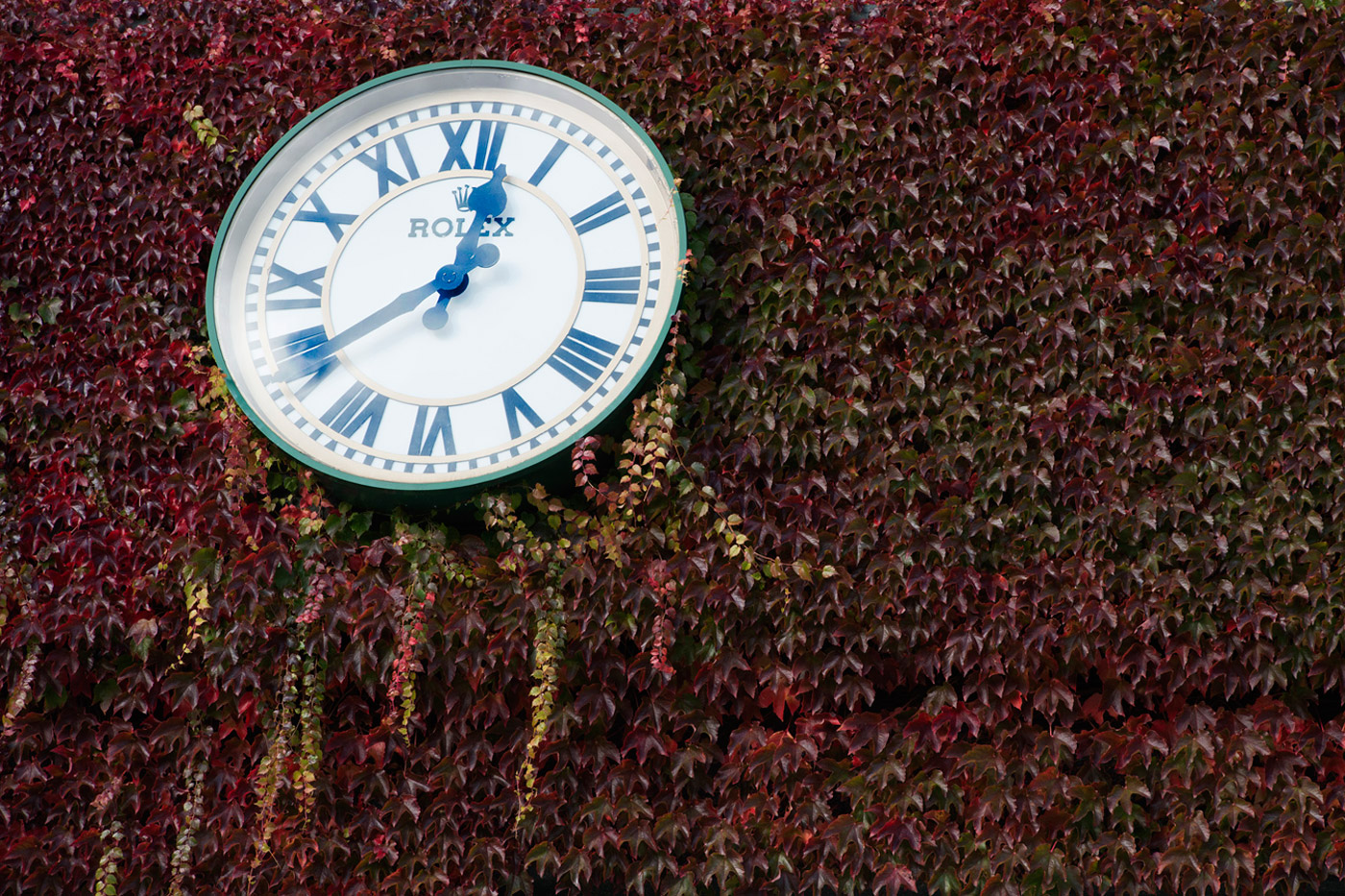 Wimbledon in the winter - The Championships, Wimbledon - Official Site ...