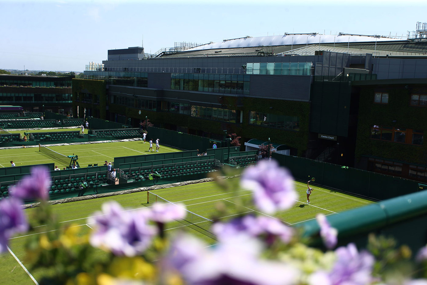 Tuning up: Friday Practice - The Championships, Wimbledon - Official ...