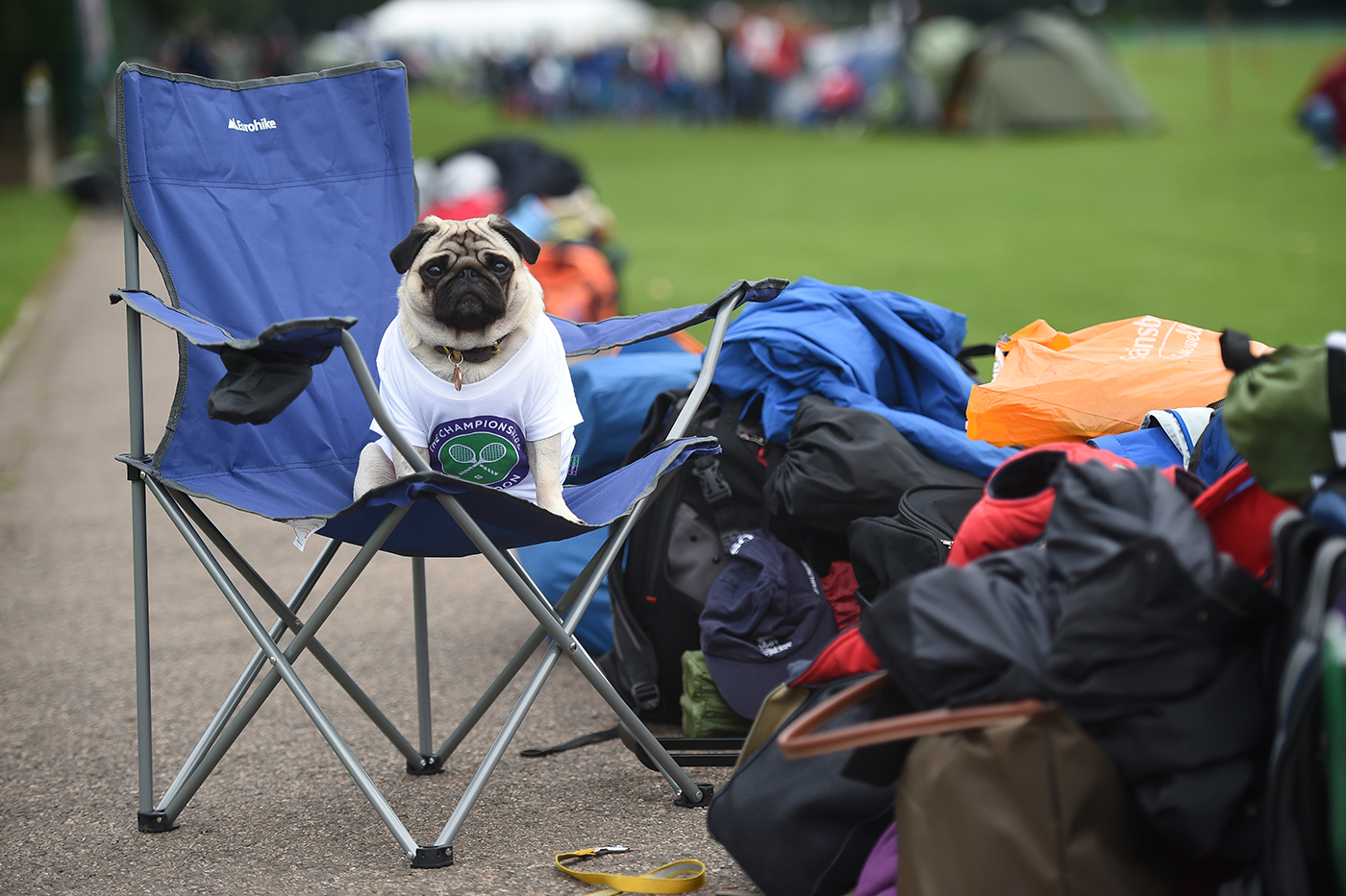 Avenue Queue - The Championships, Wimbledon - Official Site by IBM