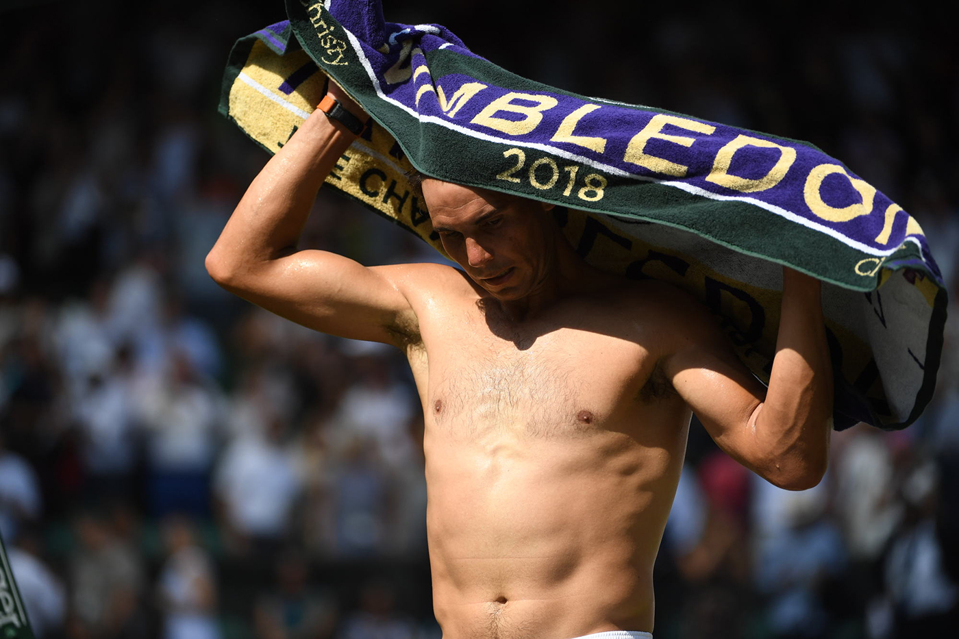 The Wimbledon Towel - The Championships, Wimbledon - Official Site by IBM
